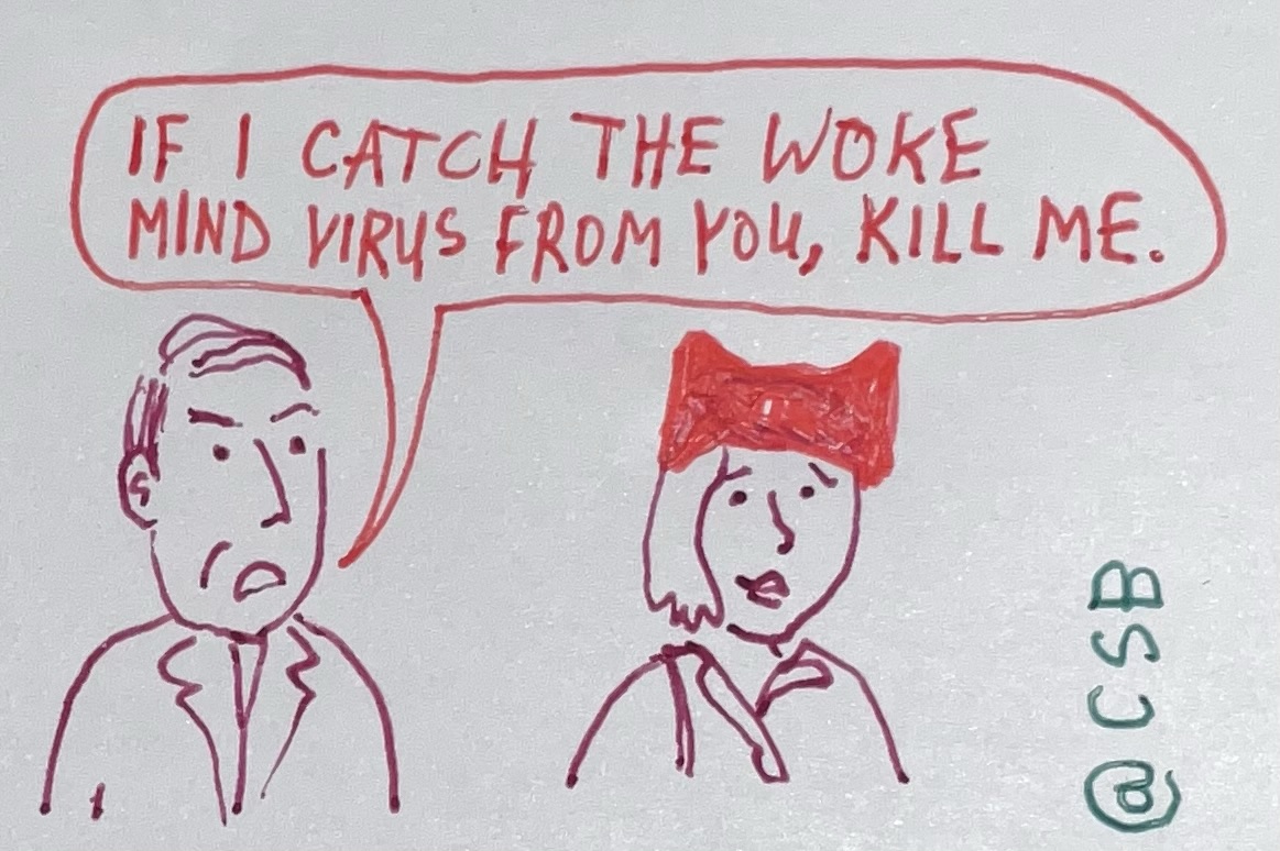 Love in the Time of Woke – Comic Strip Blogger's cartoons and strips