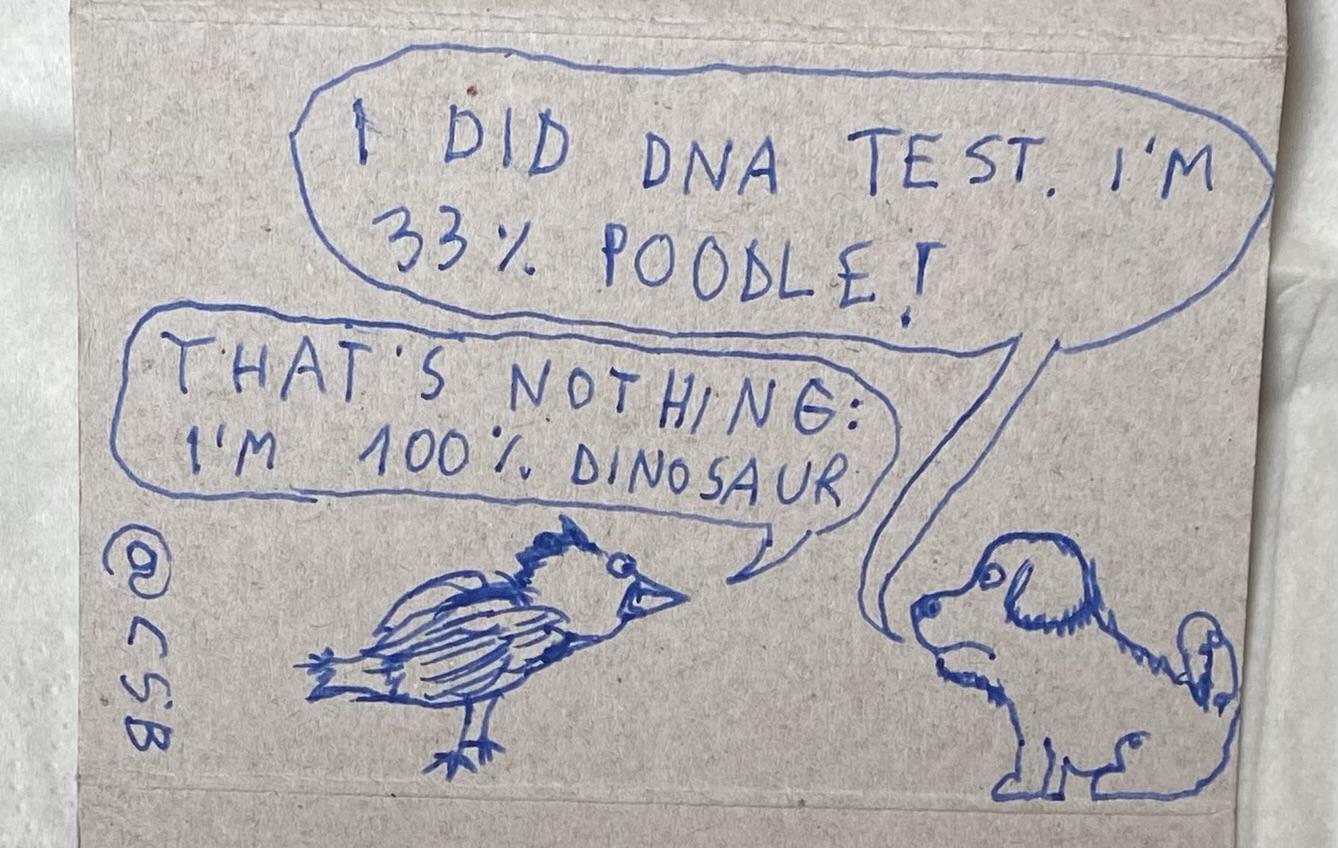 DNA Bragging Rights – Comic Strip Blogger's cartoons and strips